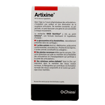 Artixine - Confort Articulaire