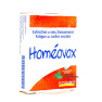 Homeovox - Extinction de voix
